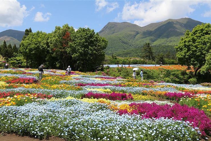 Home Delivery by japan-guide.com - Peaceful travels across Kyushu