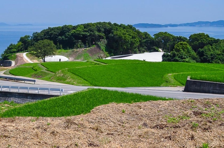 Home Delivery by japan-guide.com - Rice and everything nice