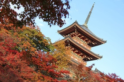 Autumn Color Report 2013: Kyoto Report