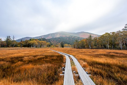 Raina's Japan Travel Journal: Travel Highlights 2014