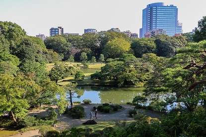 Autumn Color Reports 2016 - Tokyo: Still Green