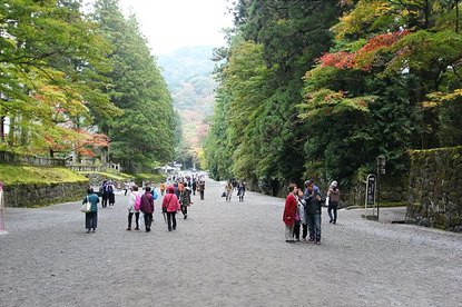 Autumn Color Reports 2016 - Nikko: Peak Colors