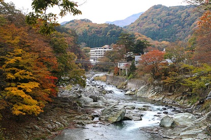 Autumn Color Reports 2016 - Shiobara: Peak Colors