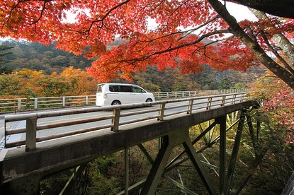 Autumn Color Reports 2016 - Shiobara: Peak Colors