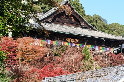 Autumn Color Reports 2017 - Sakurai: Peak Colors