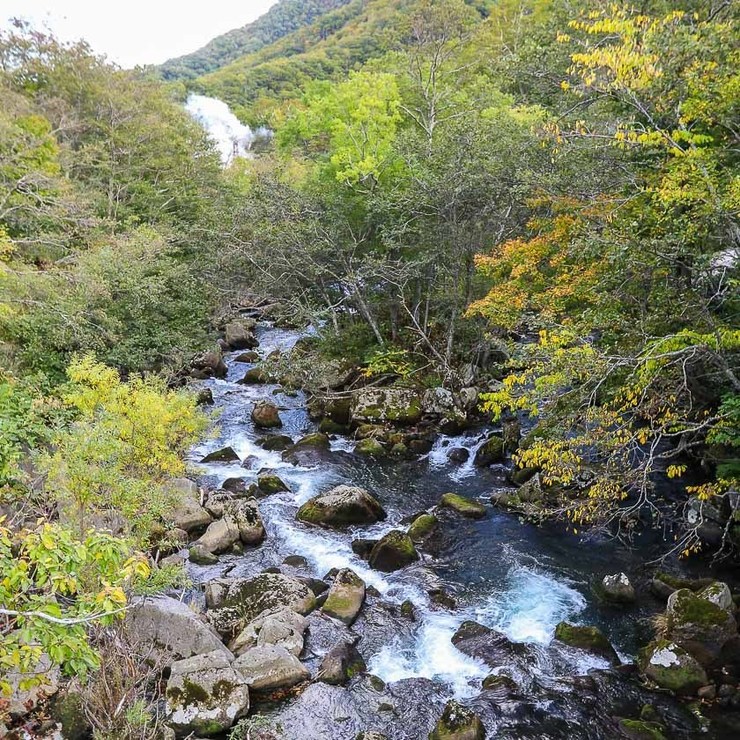 Autumn Color Reports 2017 - Shiretoko: Approaching Peak