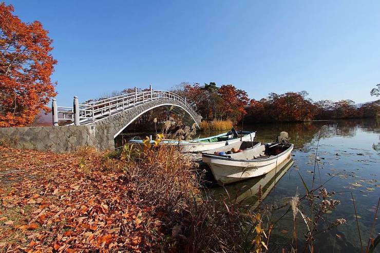 Autumn Color Reports 2017 - Onuma Park: Peak Colors