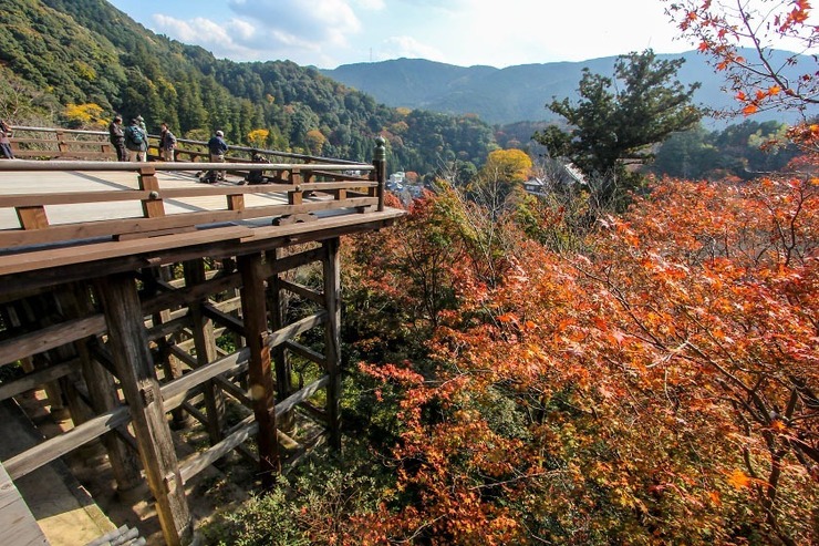 Autumn Color Reports 2017 - Sakurai: Peak Colors