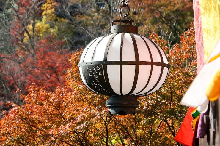 Autumn Color Reports 2017 - Sakurai: Peak Colors