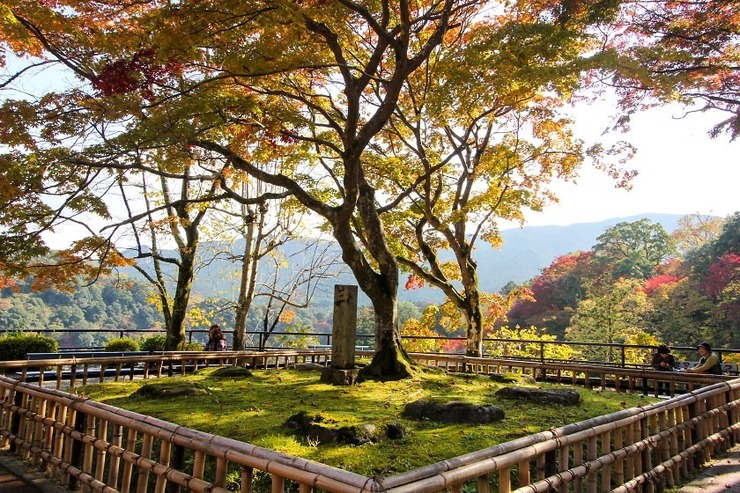 Autumn Color Reports 2017 - Sakurai: Peak Colors