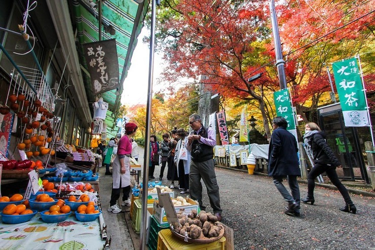 Autumn Color Reports 2017 - Sakurai: Peak Colors