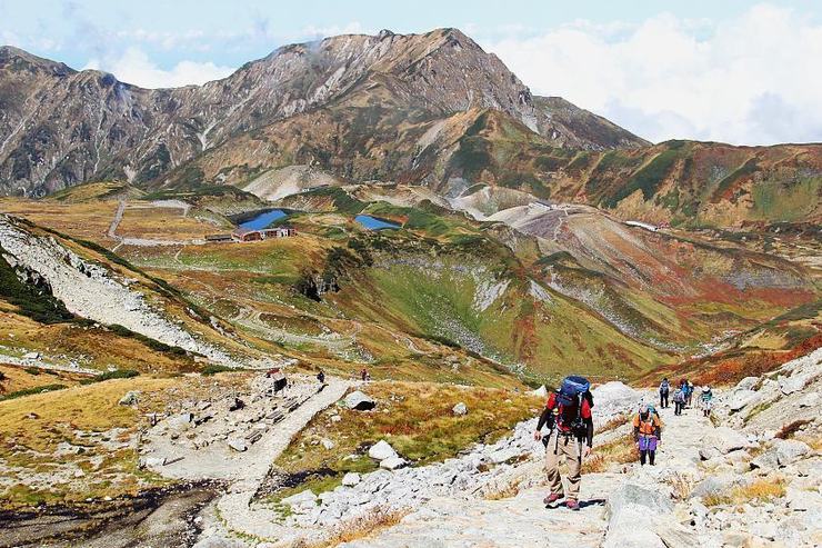 Autumn Color Reports 2018 - Alpine Route: Peak Colors