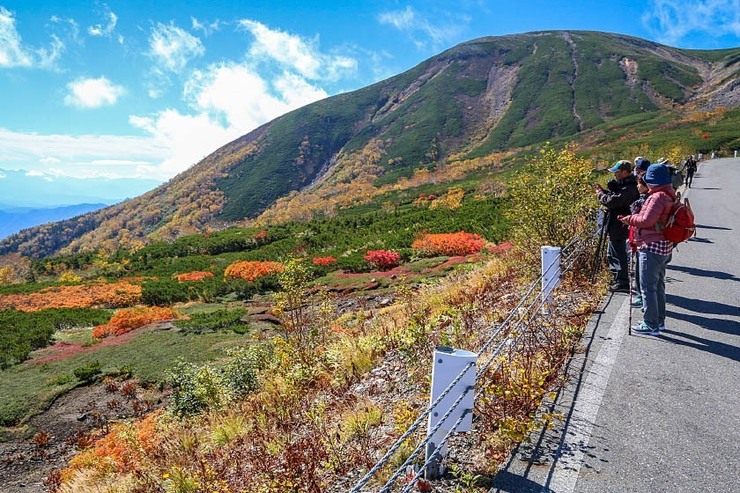 Autumn Color Reports 2018 - Norikura: Peak Colors