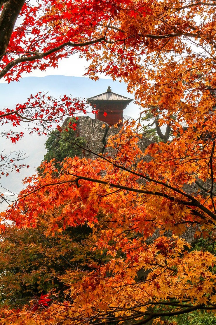 Autumn Color Reports 2018 - Yamadera: Peak Colors