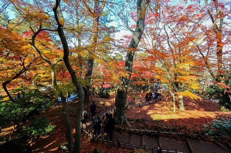 Autumn Color Reports 2018 - Kanazawa: Peak Colors