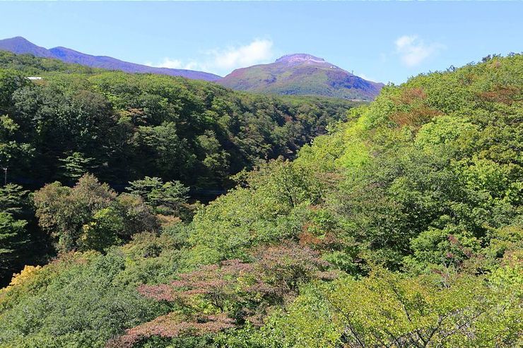 Autumn Color Reports 2019 - Nasu: Approaching Peak