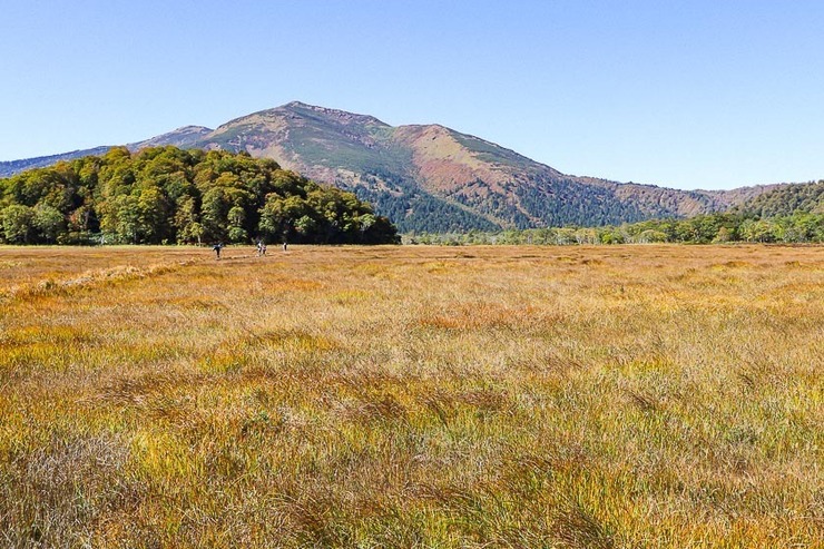 Autumn Color Reports 2019 - Oze: Approaching Peak