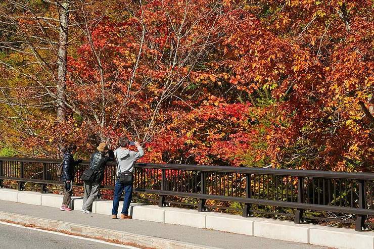 Autumn Color Reports 2019 - Nikko: Approaching Peak