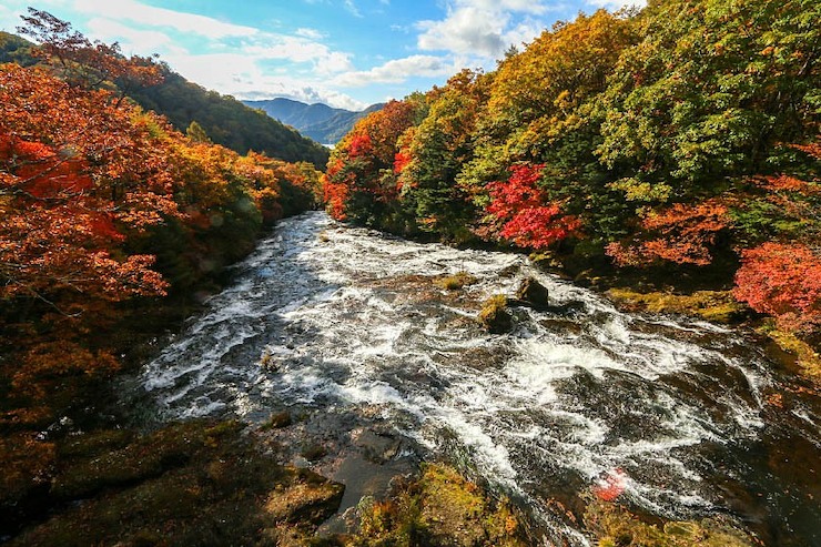Autumn Color Reports 2020 - Nikko: Peak Colors