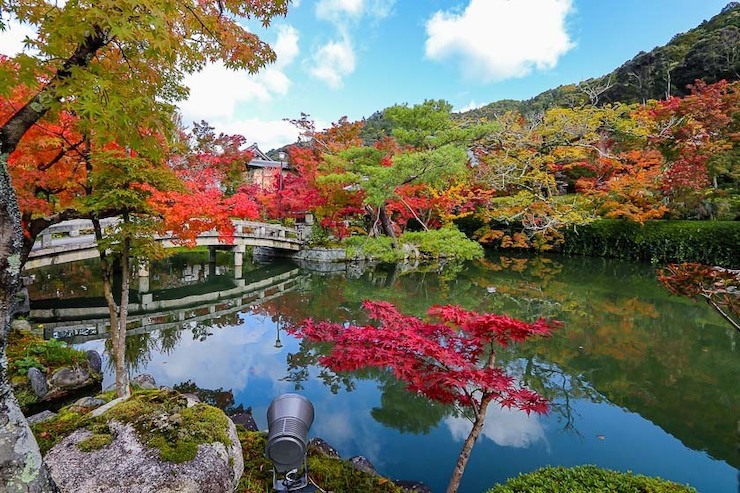Autumn Color Reports 2020 - Kyoto: Approaching Peak