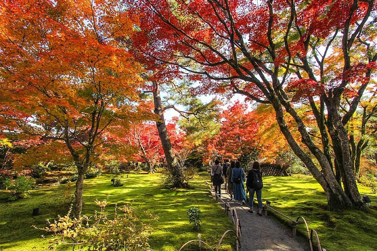 Autumn Color Reports 2020 - Kyoto: Peak Colors