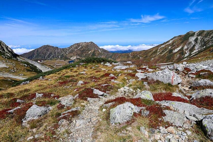 Autumn Color Reports 2023 - Alpine Route: Peak Colors