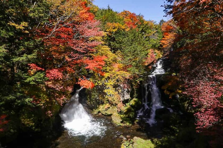 Autumn Color Reports 2023 - Nikko: Peak Colors