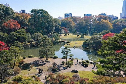 Autumn Color Reports 2024 - Tokyo: Approaching Peak