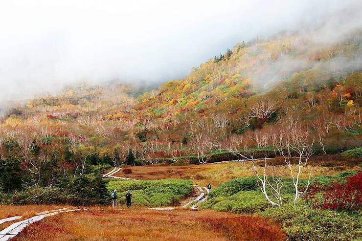 Autumn Color Reports 2024 - Hakuba: Peak Colors