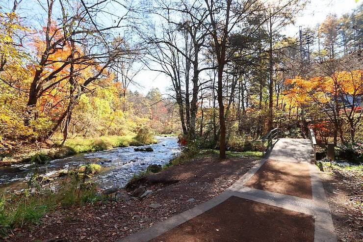 Autumn Color Reports 2024 - Karuizawa: Peak Colors