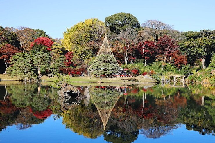 Autumn Color Reports 2024 - Tokyo: Peak Colors