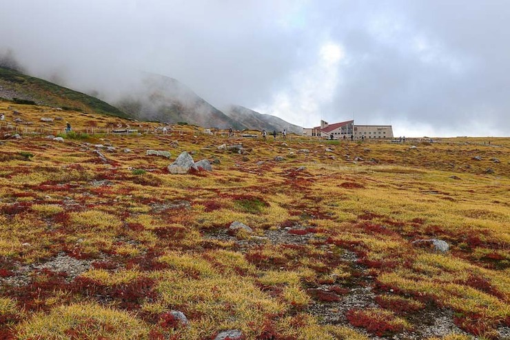 Autumn Color Reports 2025 - Alpine Route: Peak Colors
