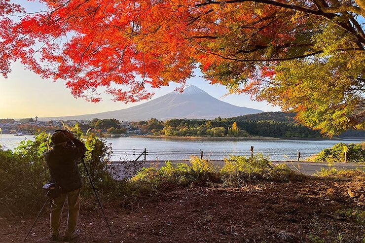 Autumn Color Reports 2025 - Mount Fuji: Peak Colors