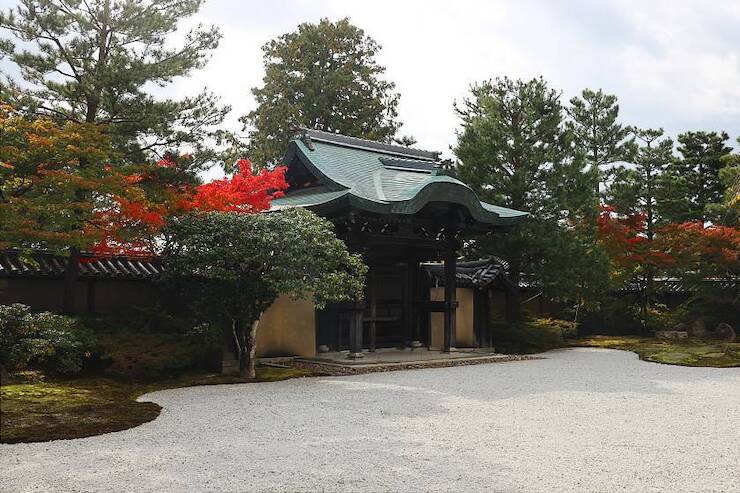 Autumn Color Reports 2025 - Kyoto: Starting to Change