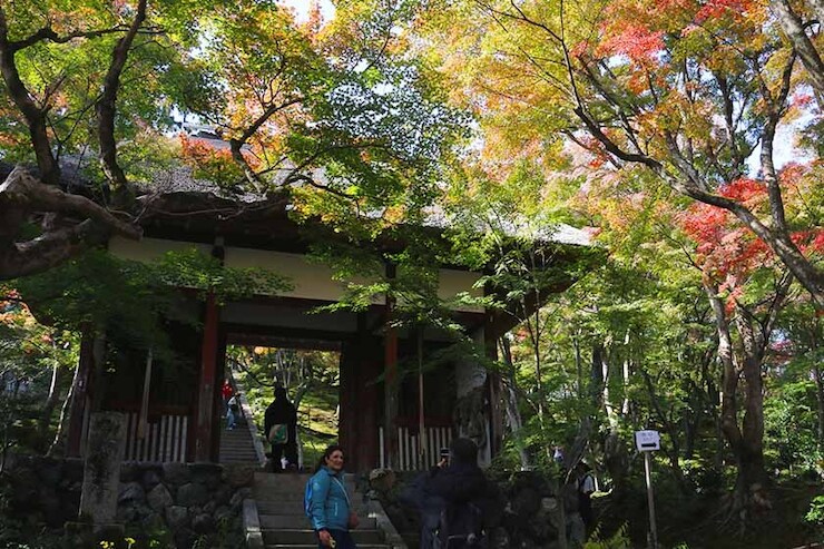 Autumn Color Reports 2025 - Kyoto: Approaching Peak