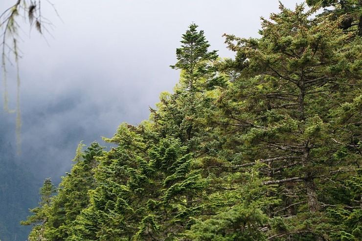Among the Peaks - Hiking Japan's second highest peak: Mt. Kita-dake