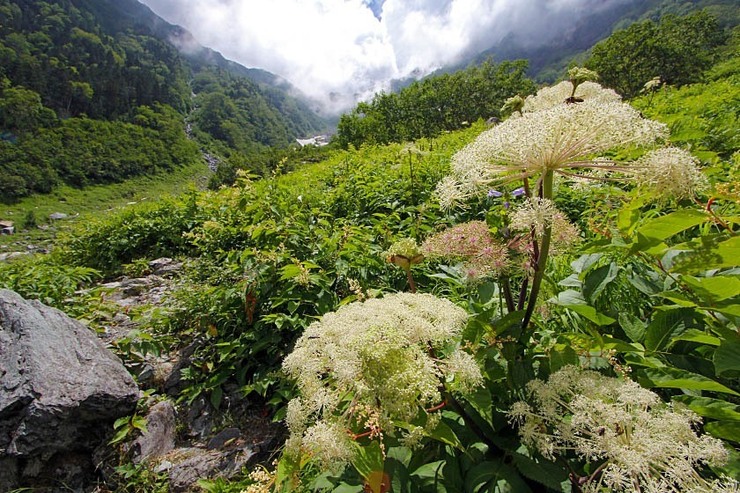 Among the Peaks - Hiking Japan's second highest peak: Mt. Kita-dake