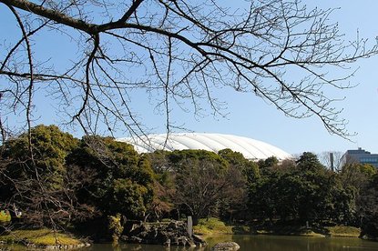 Raina's Japan Travel Journal: Early Tokyo Blossom Report