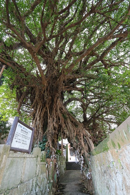 Raina's Japan Travel Journal: Travel to the Goto Islands