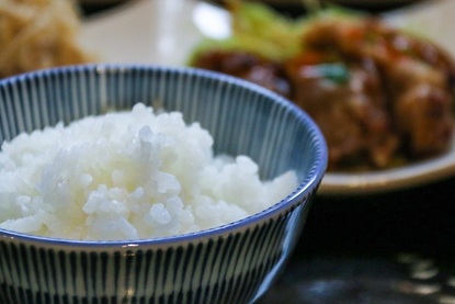 Raina's Japan Travel Journal: A bit of everything in Fukui