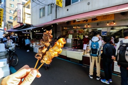 Raina's Japan Travel Journal - Business as usual at Tsukiji Outer Market