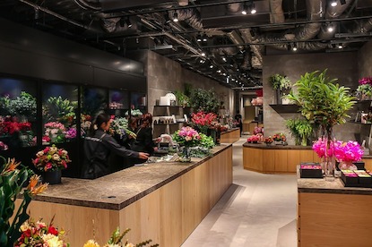 Raina's Japan Travel Journal - Japan's new tallest building opens in Tokyo