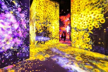 Raina's Japan Travel Journal - teamLab Borderless newly opened in ...