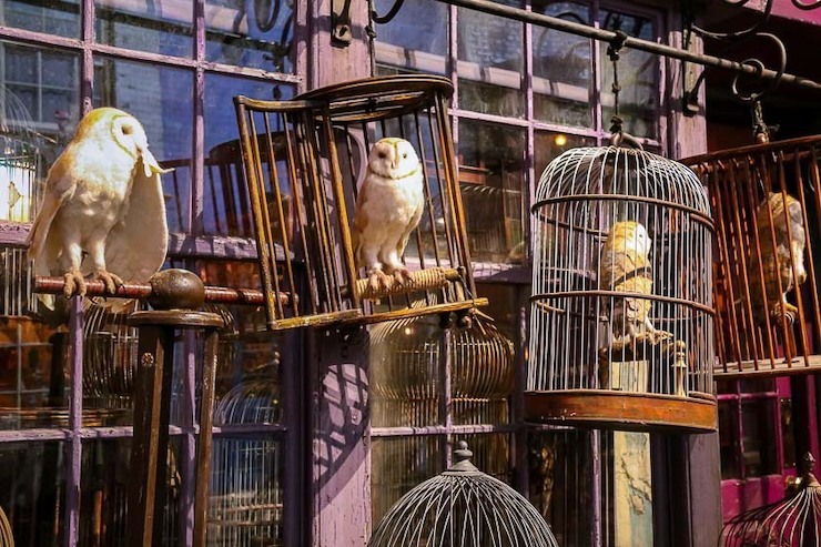 Raina's Japan Travel Journal - Harry Potter Studio Tour Tokyo Opens ...
