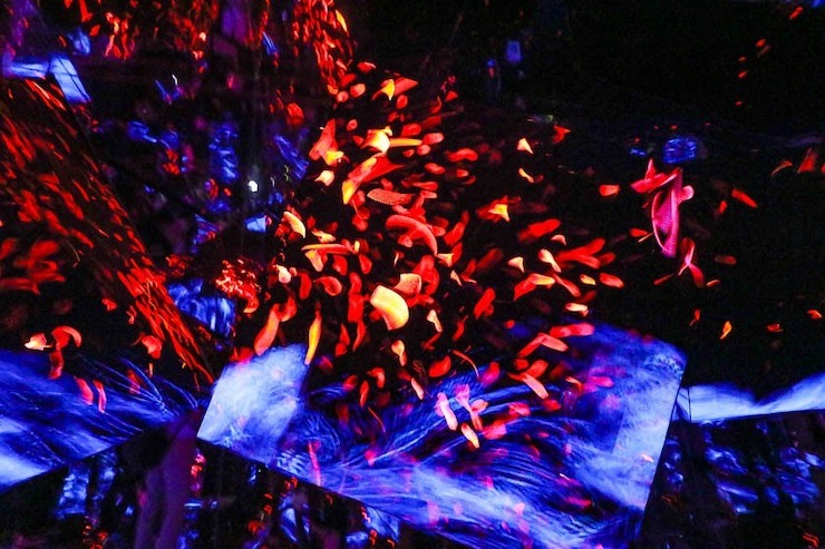 Raina's Japan Travel Journal - Japan's new tallest building opens in Tokyo