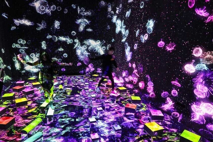 Raina's Japan Travel Journal - teamLab Planets opens new area on ...