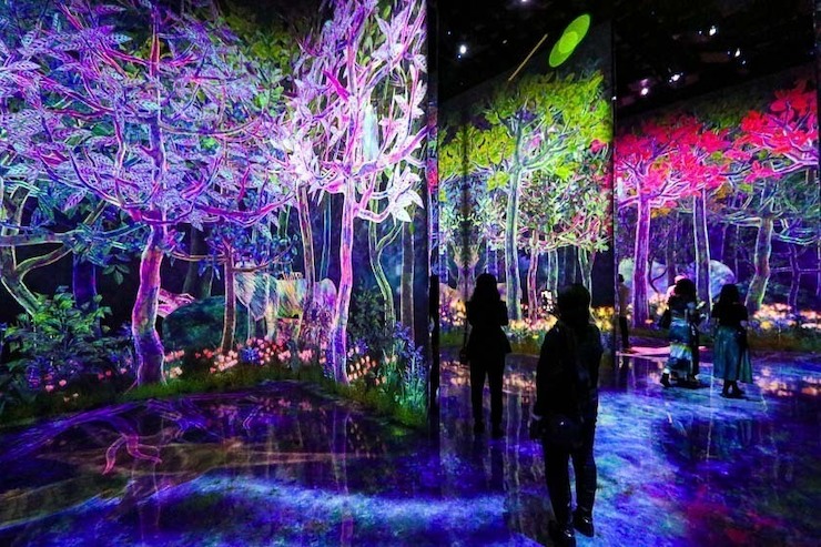 Raina's Japan Travel Journal - teamLab Planets opens new area on ...