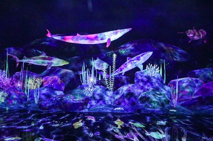 Raina's Japan Travel Journal - teamLab Planets opens new area on ...