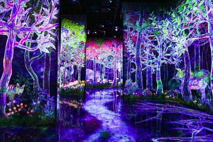 Raina's Japan Travel Journal - teamLab Planets opens new area on ...