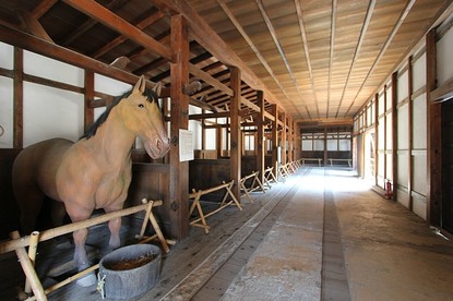 Sean's Japan Travel Journal: Cherry Blossom Report: Hikone